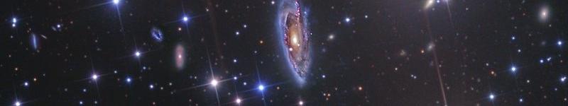 Unexpected tails of gas and stars seen in two Hydra Cluster galaxies ... Unexpected tails of gas and stars seen in two Hydra Cluster galaxies ...